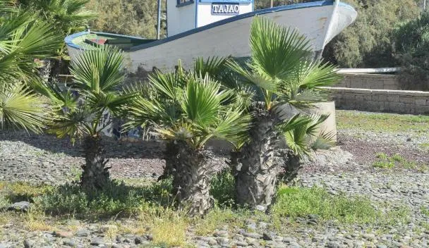 A un salto del mar WIFI, La Mareta (precios actualizados en 2026)