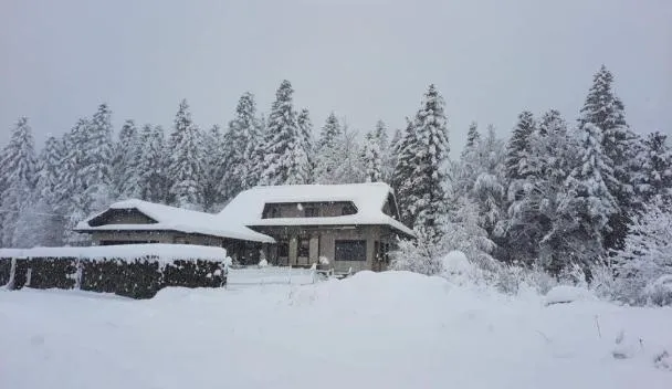 LYNX HOUSE, Delnice (updated prices 2026)