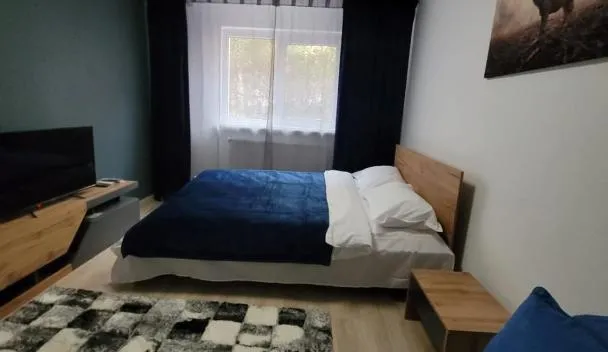 Casa Rusu -Moroasa-Self check in-24h Netflix, Reşiţa (precios ...