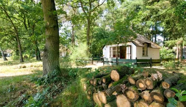 Tiny House de Berken, Otterlo (tarifs actualisés pour 2026)