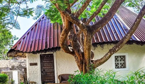 Bushbaby Cottage Diani Beach - with Starlink Highspeed Internet ...