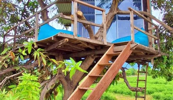 A Mango Tree House with a private swimming pool, Tegallengah (updated ...