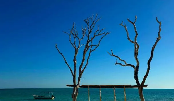 Savannah Beach, Ambatomilo (updated prices 2026)