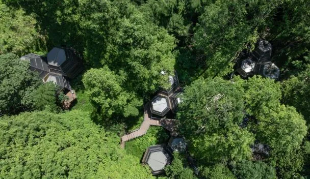 LOSTLODGE·Dongming Mountain(Hangzhou Liangzhu Cultural Village ...