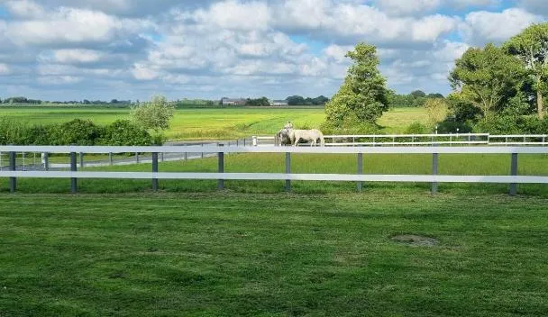 Wohlfühl-Zuhause für Hund und Mensch, Rodenäs (aktualisierte Preise für ...
